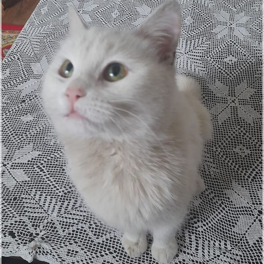 Снежинка