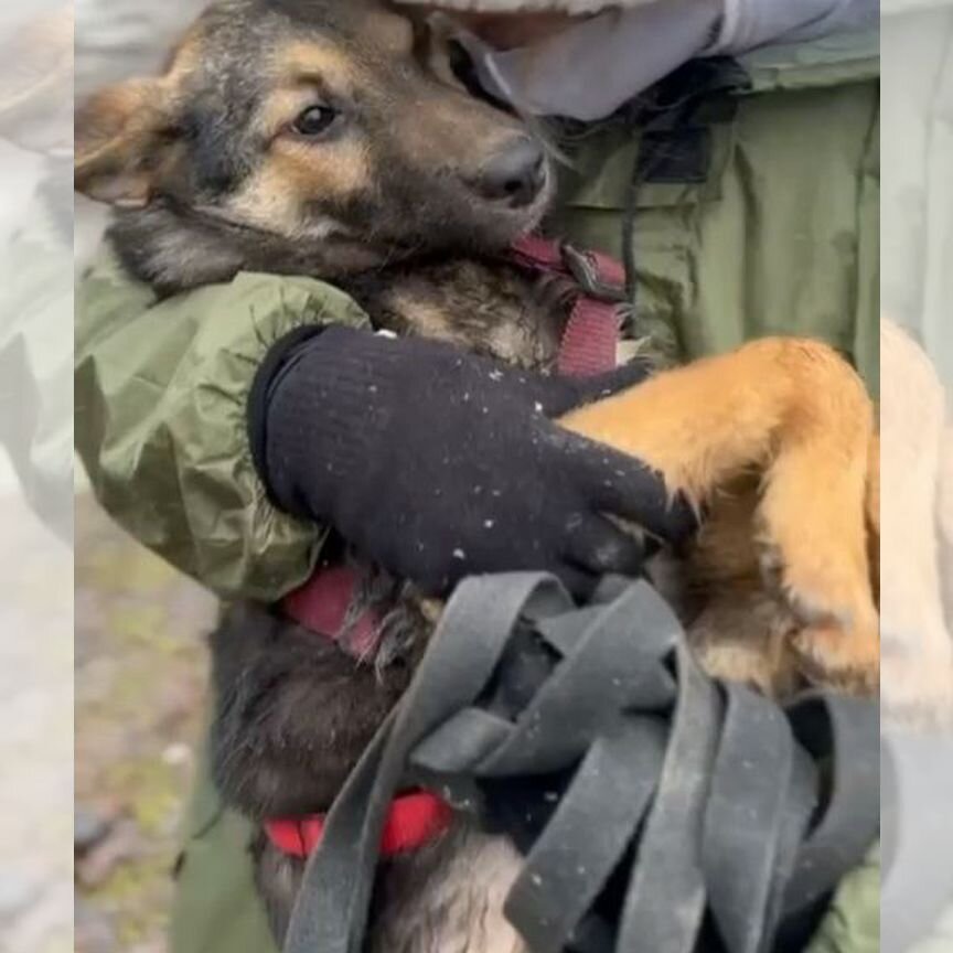 Ласковая малышка Ляля