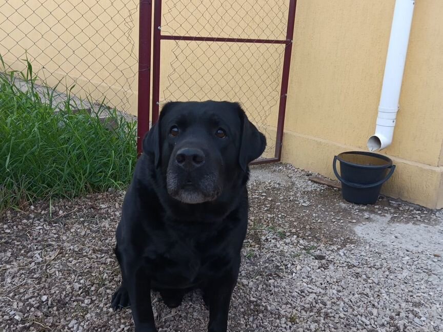 Ищем подругу