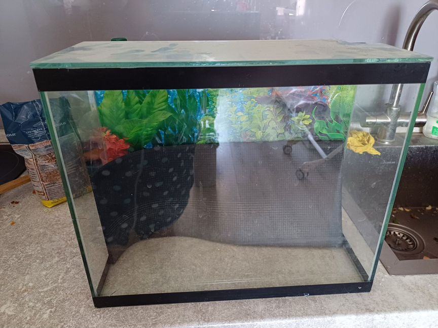 Аквариум 10 литров