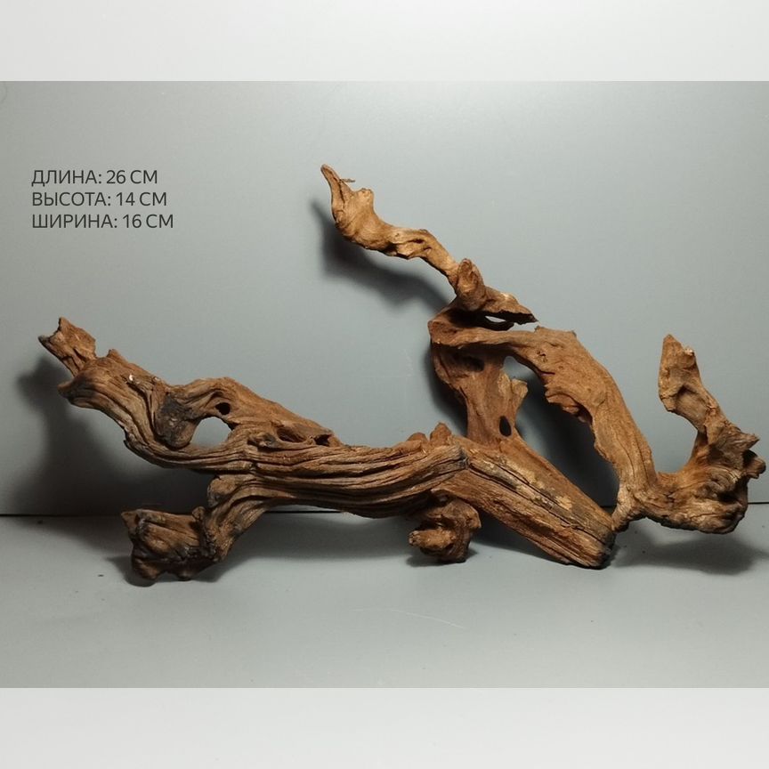 Коряга мангровая для аквариума 26*12*14 вк30