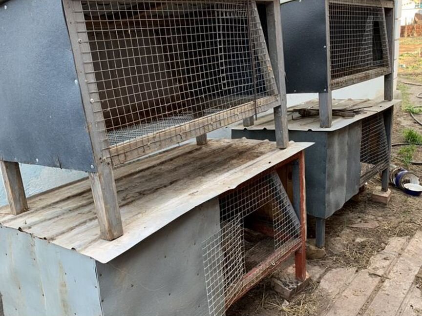 Клетка для кроликов