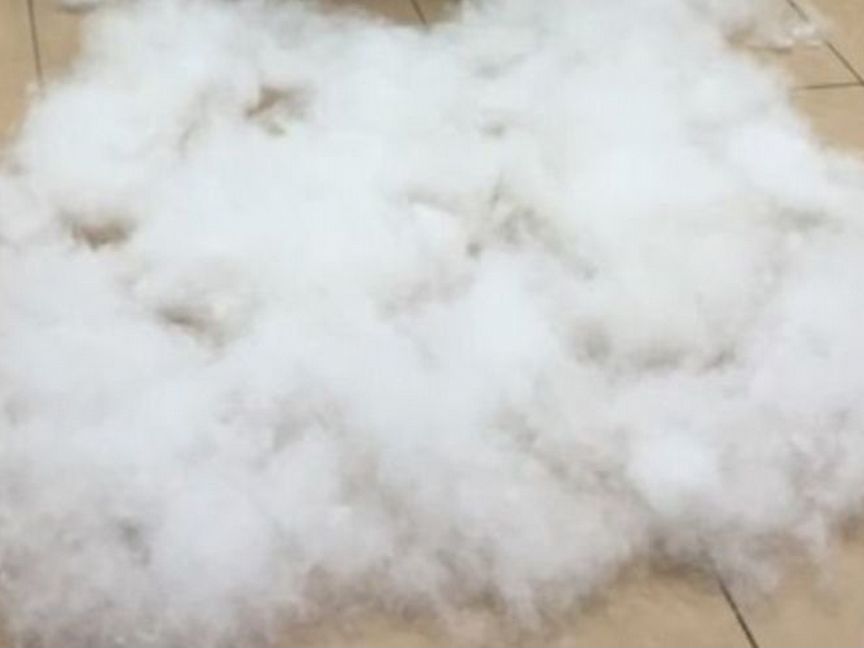 Пух от собаки самоеда