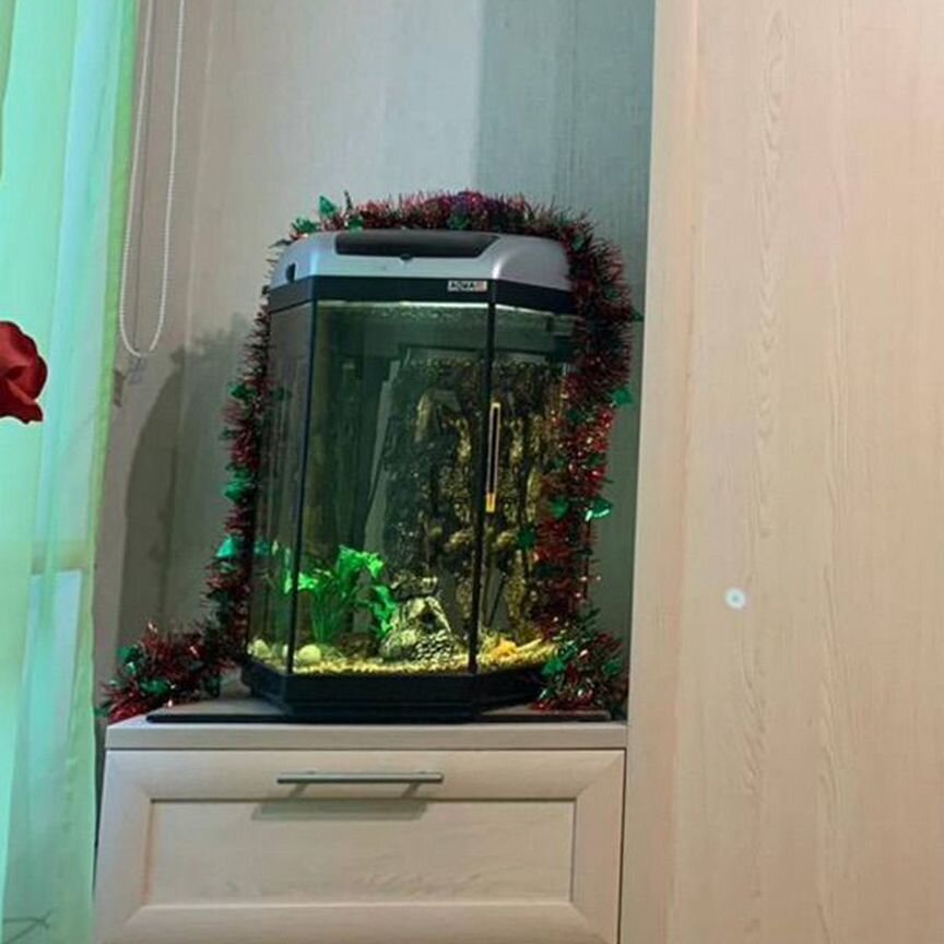 Аквариум для рыбок