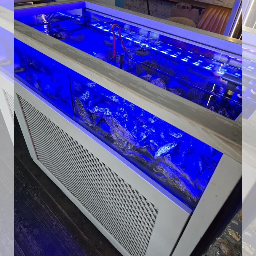 Аквариум для устриц Аквариум для раков