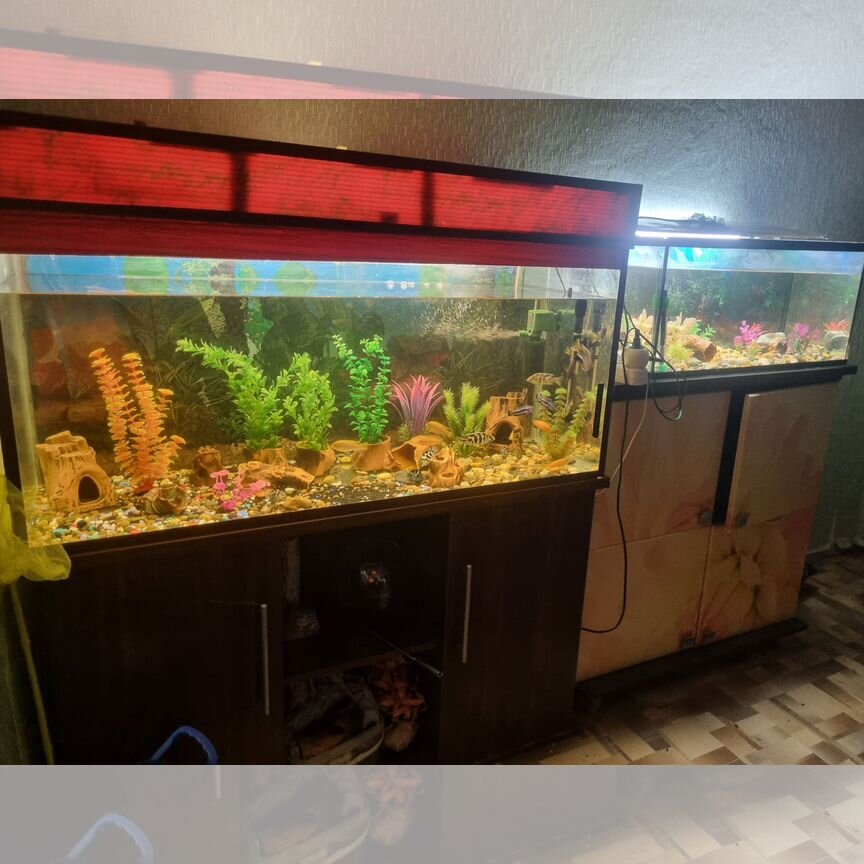 Аквариум на 300л и на 100л