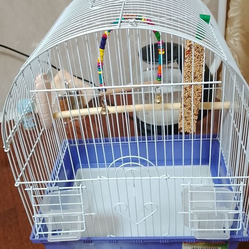 Клетка для попугая
