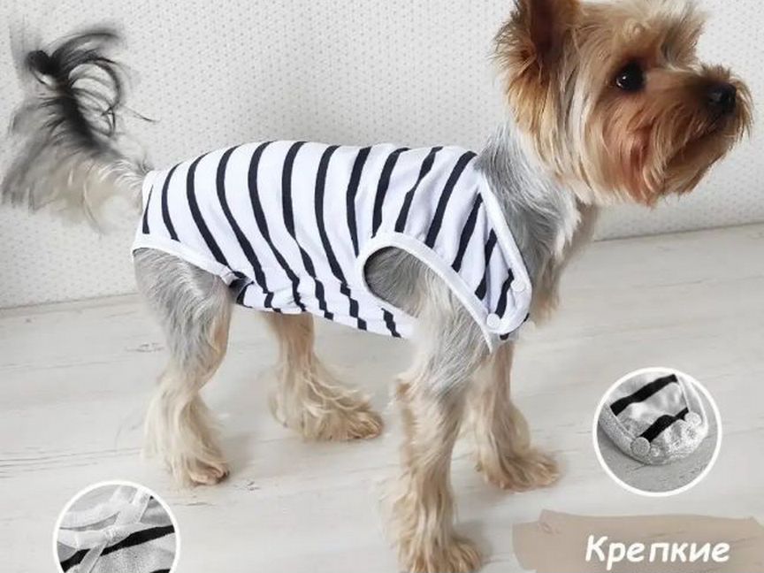 Боди для собак