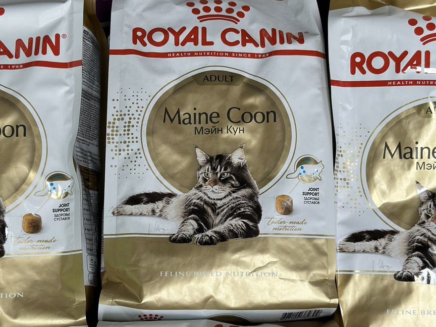 Royal canin Maine Coon
