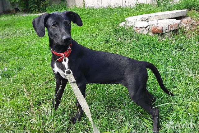 Рея - сама грация