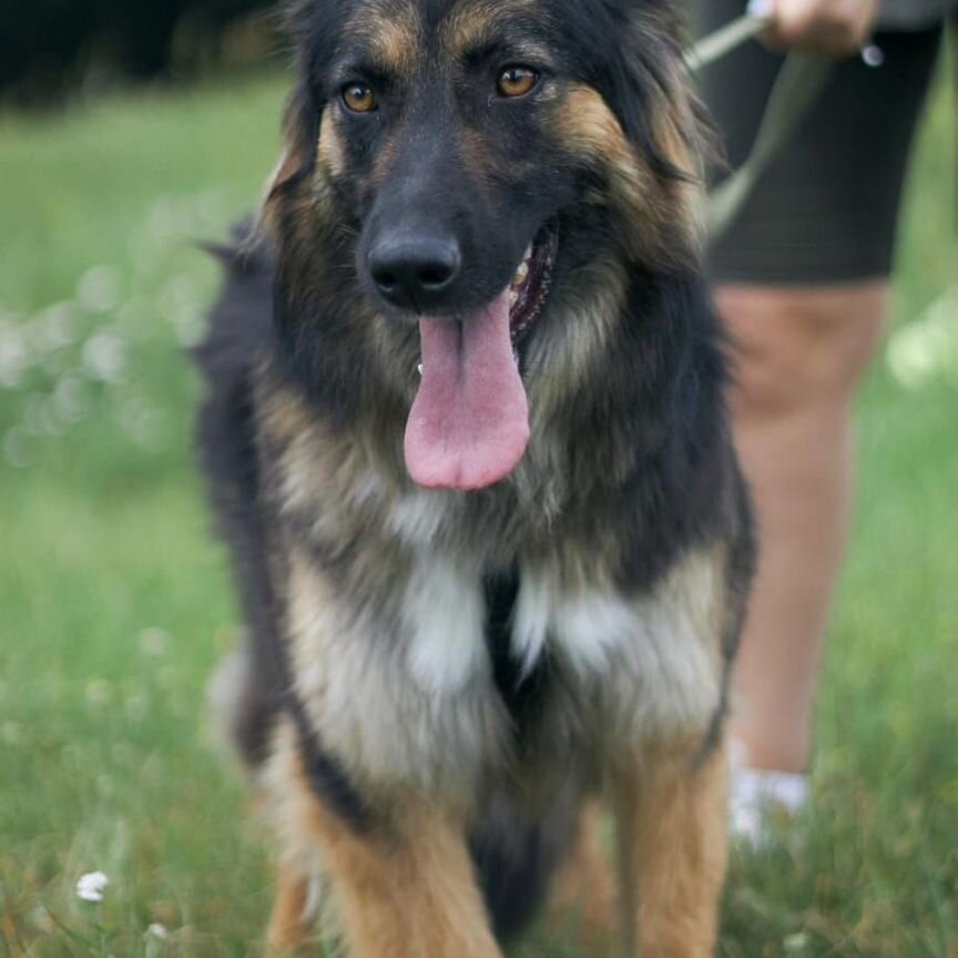 Хлопушка в приюте с самого детства