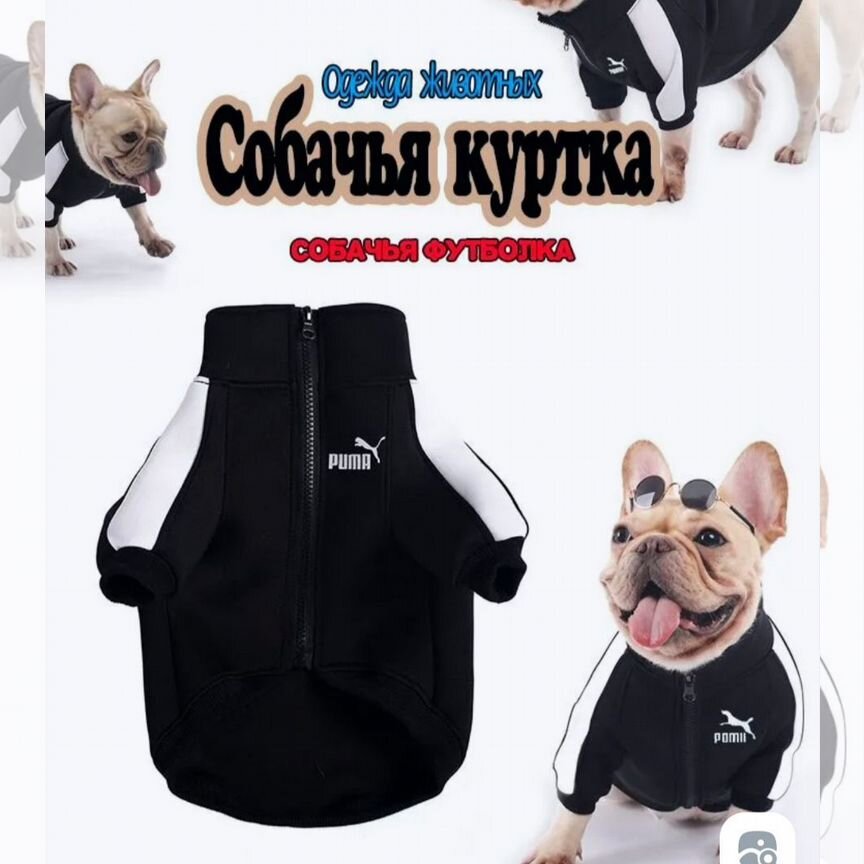 Куртки для собаки