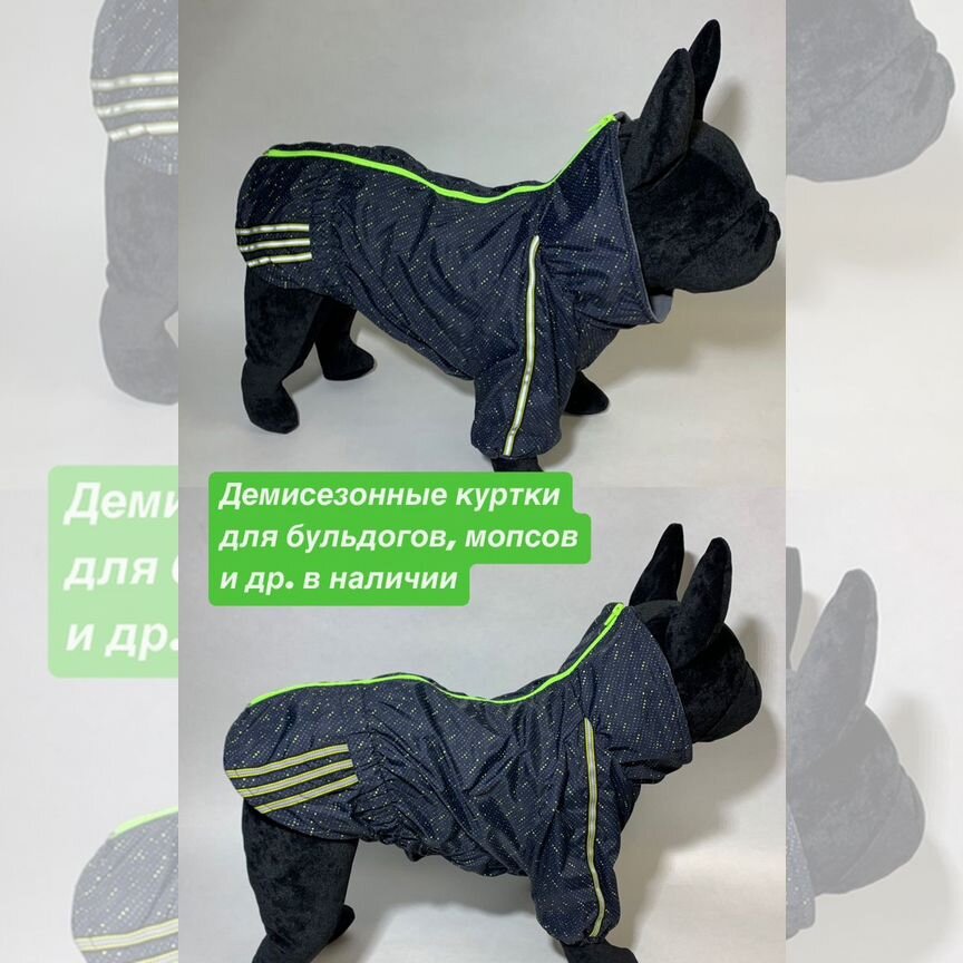 Одежда для бульдогов