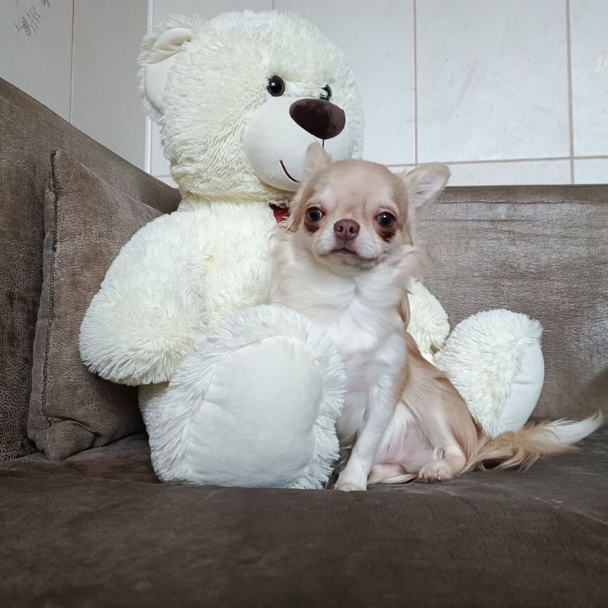 Степа милый мальчик 10м