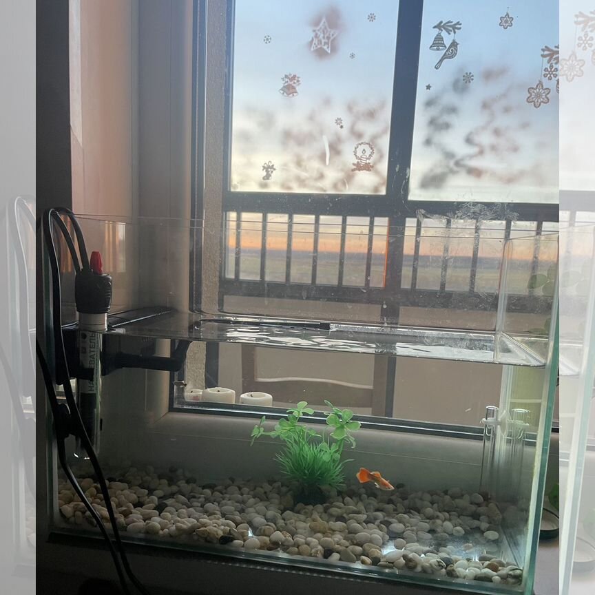 Аквариум с рыбками