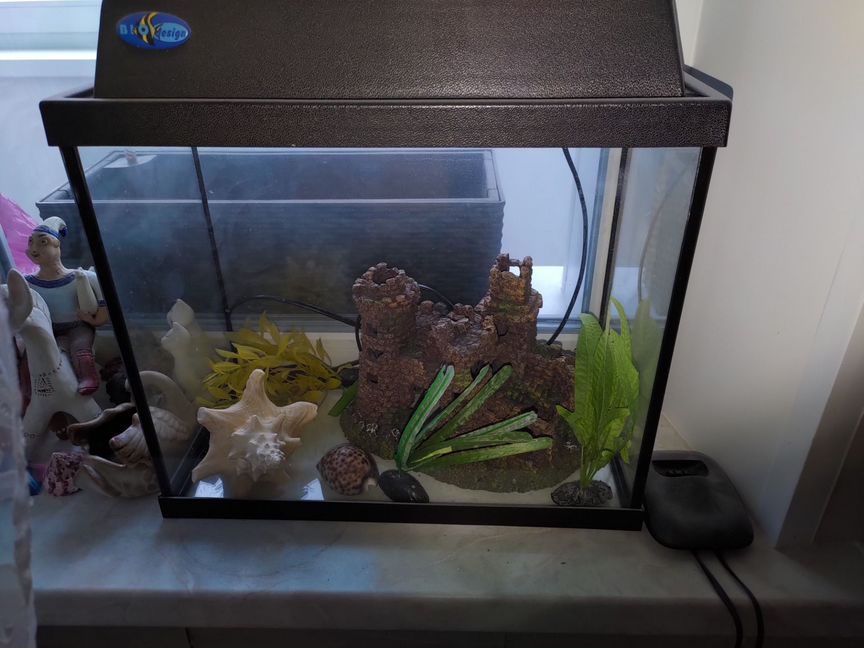 Аквариум со всем содержимым