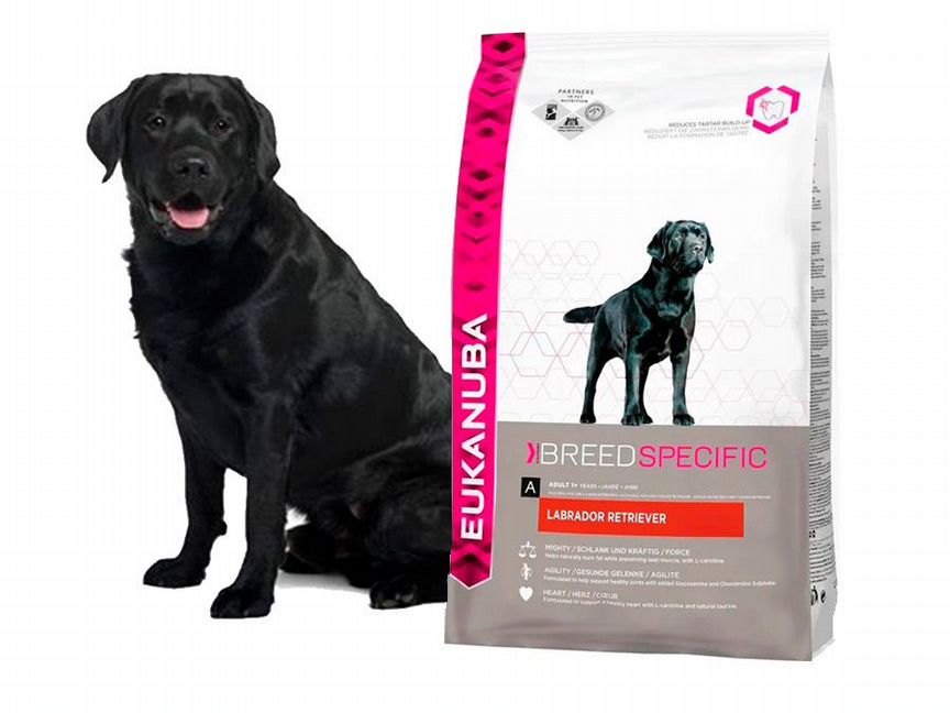 Корм Эукануба Лабрадор Ретривер (Eukanuba)