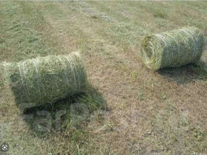 Сено в рулонах
