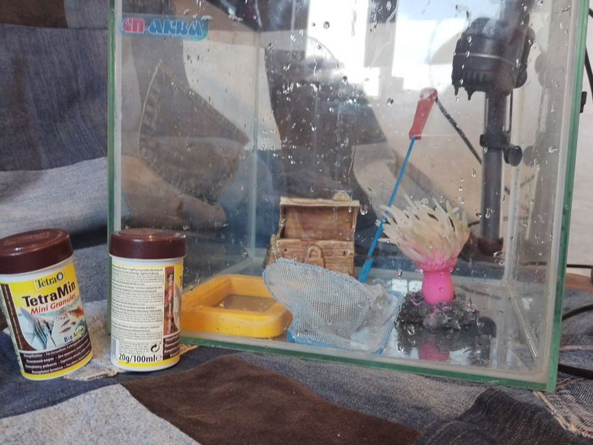 Аквариум с приданым