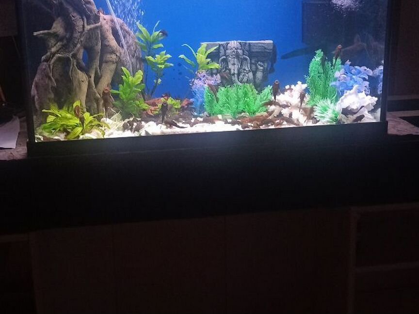 Аквариум Aquaplus 140л