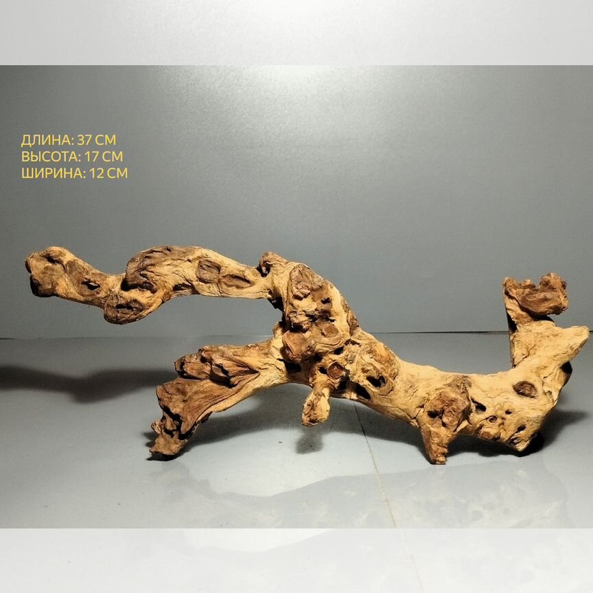 Коряга Bell Wood мангровая коряга 37*12*17 вк507