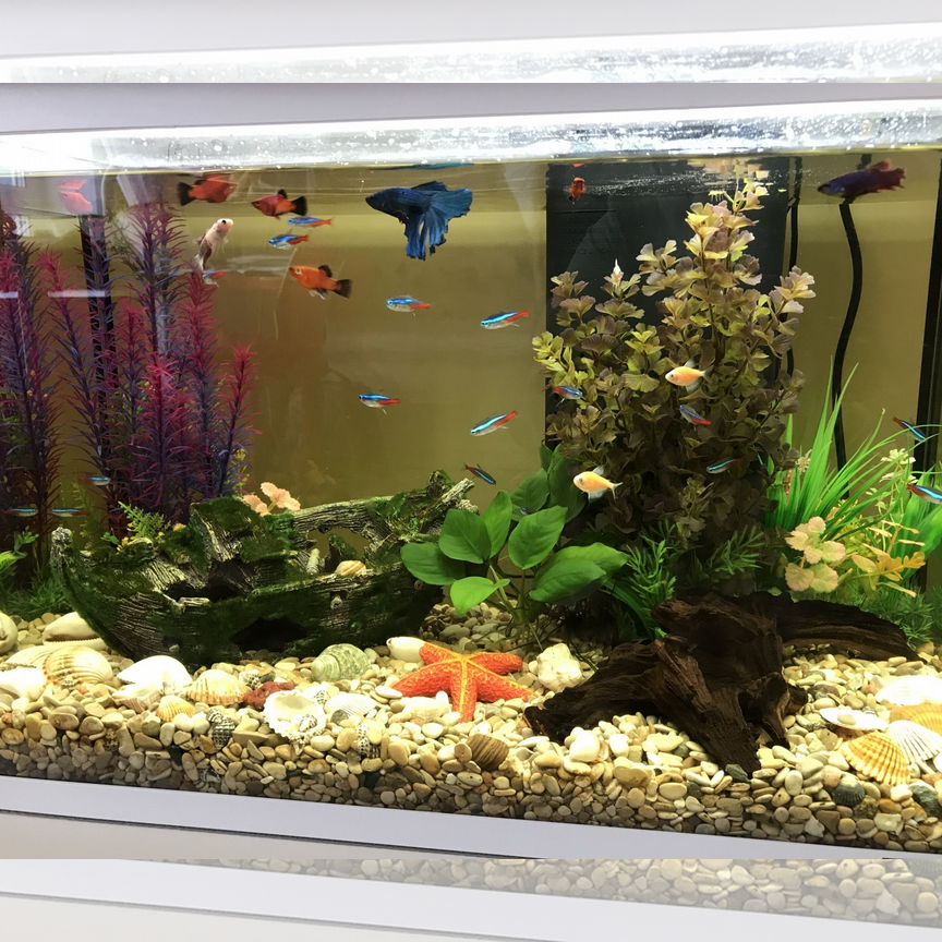 Аквариум tetra 60 л