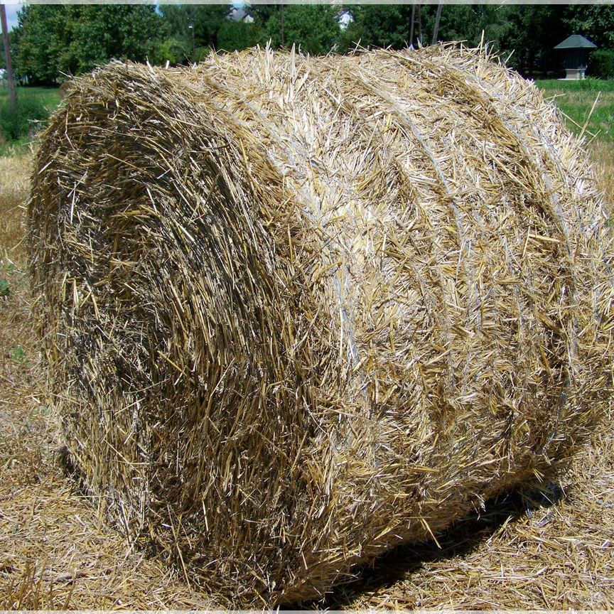 Продам сено в рулонах