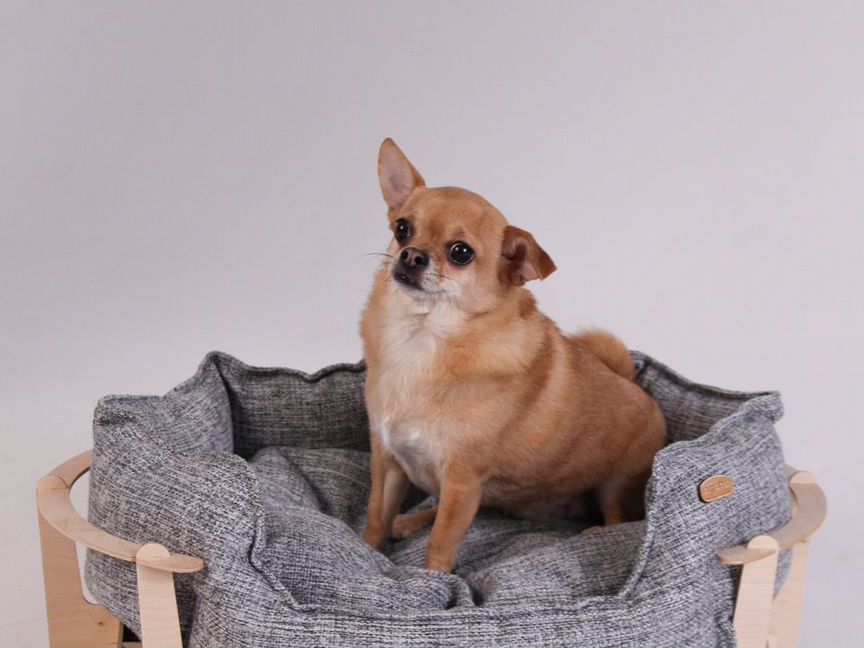 Лежанка для животных собак и кошек