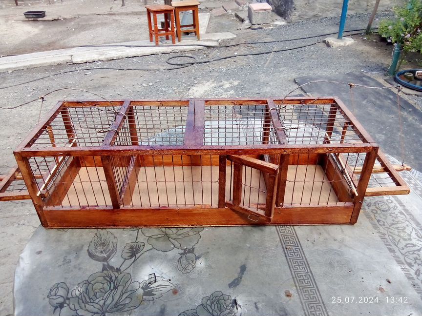 Западок для птиц