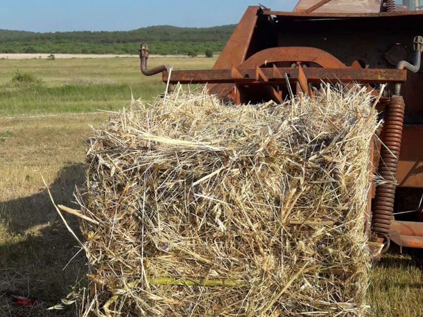 Сено солома в тюках