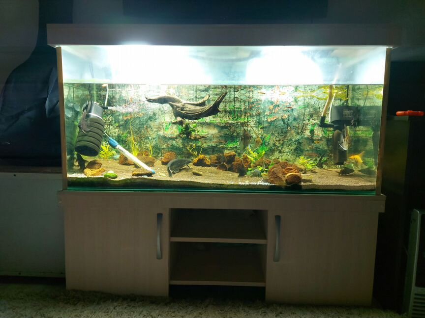 Аквариум 300 литров с тумбой