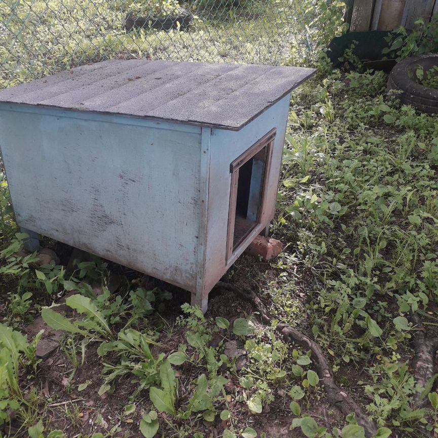 Собачья будка для большой собаки