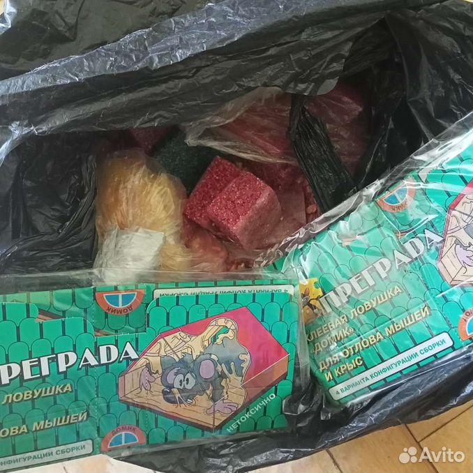 От крыс и мышей Пушкин