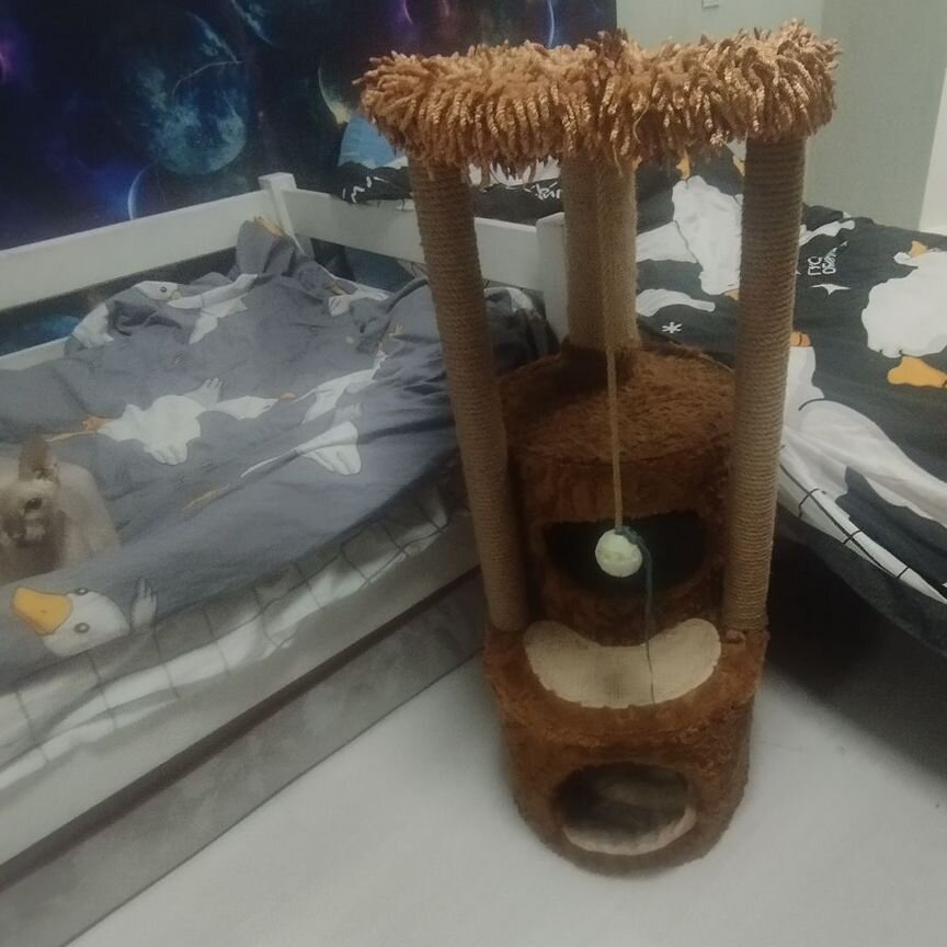 Домик когтеточка