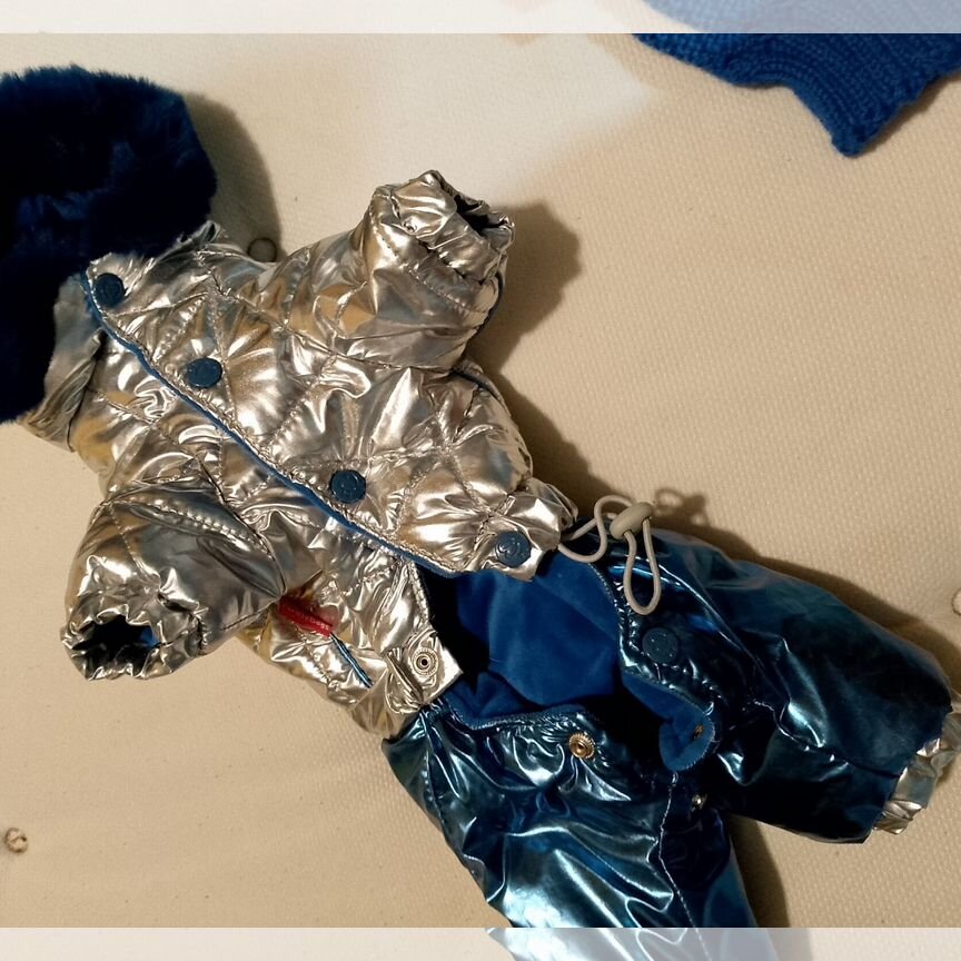 Одежда для собак мелких пород