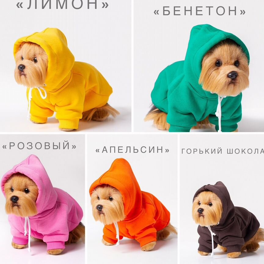 Кофта для собак и кошек