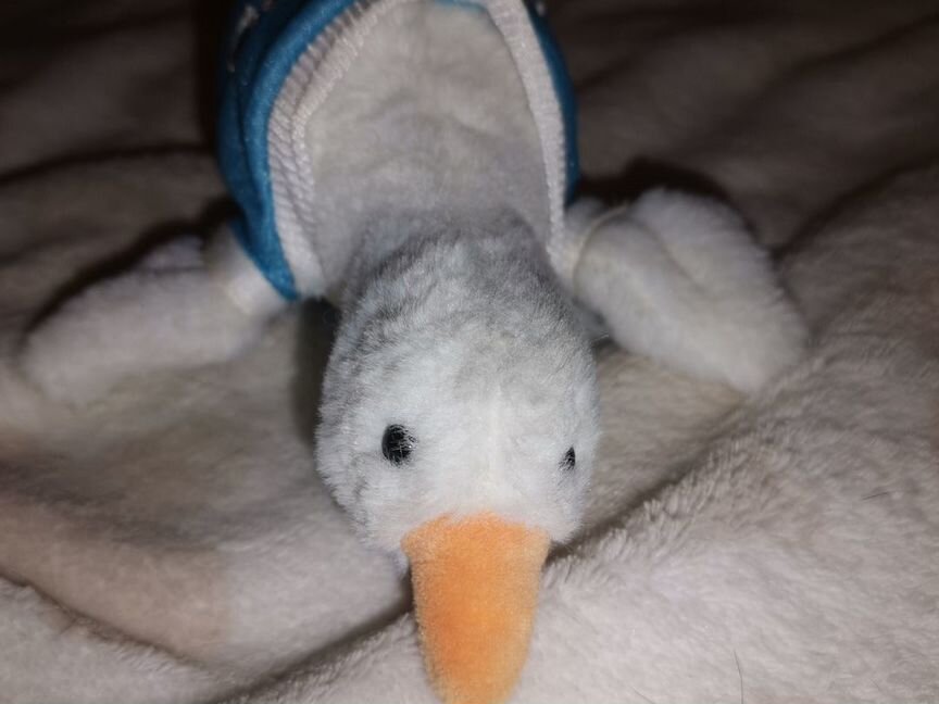 Гусь обнимусь 50 см