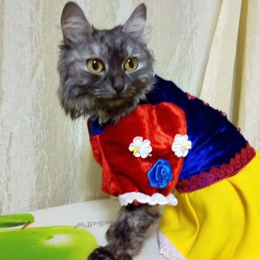 Карнавальный костюм Белоснежка для кошки