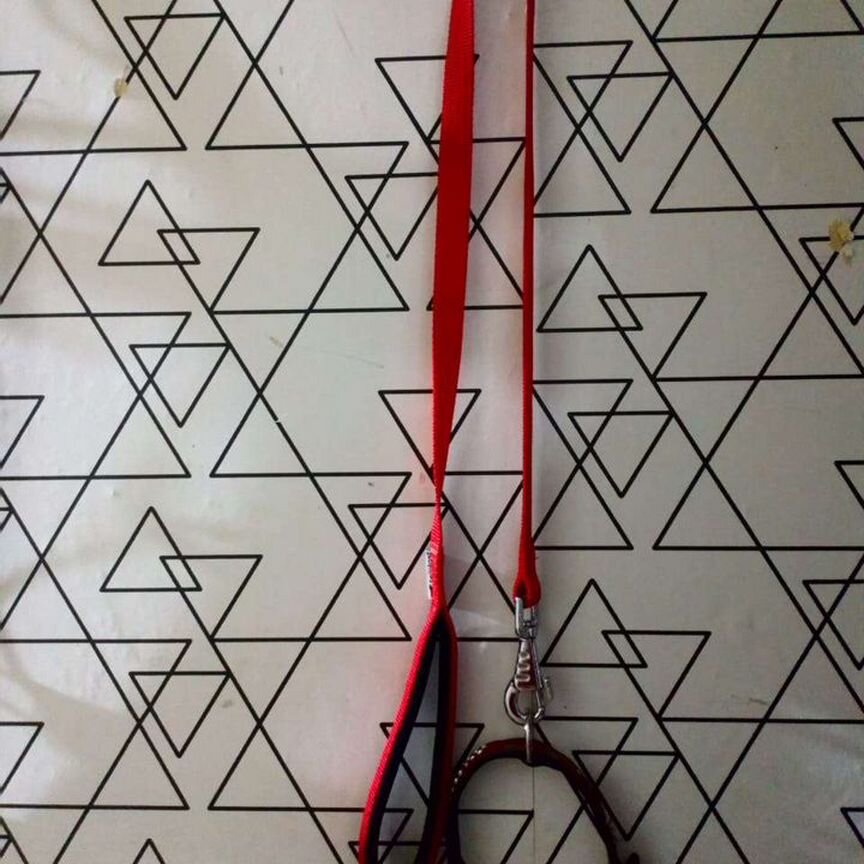 Ошейник с поводком