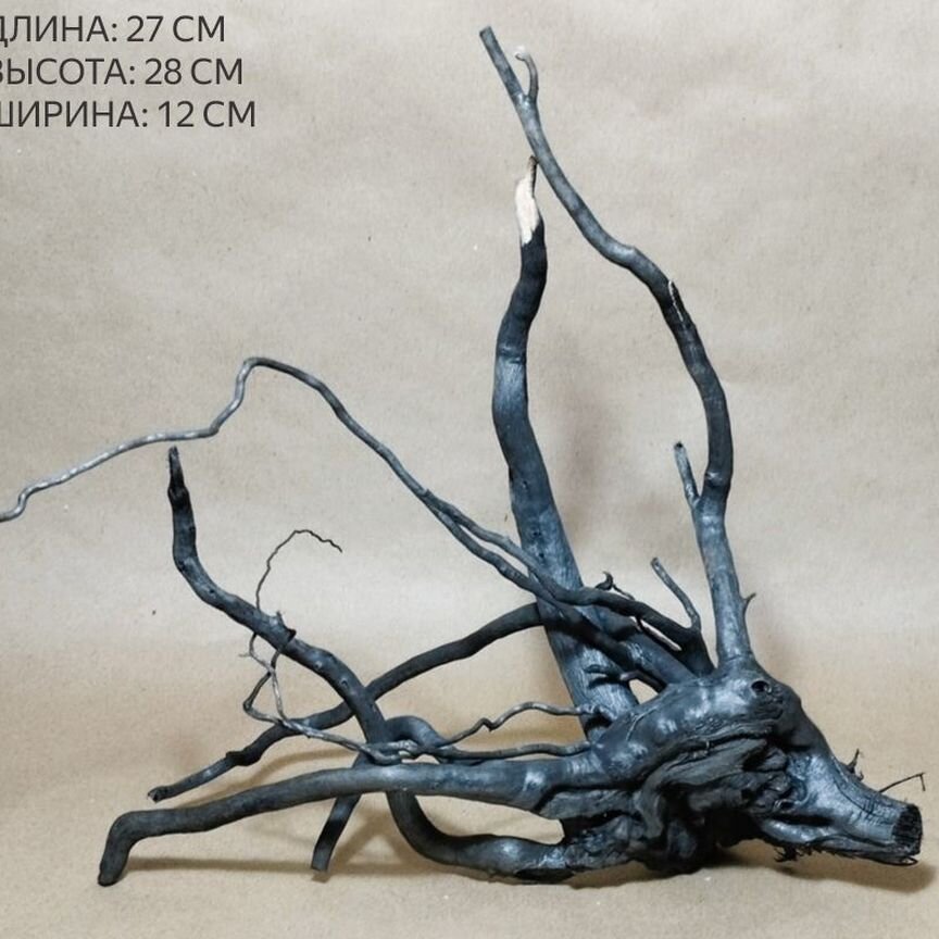 Коряга черная паучий корень 27*12*28 вк416