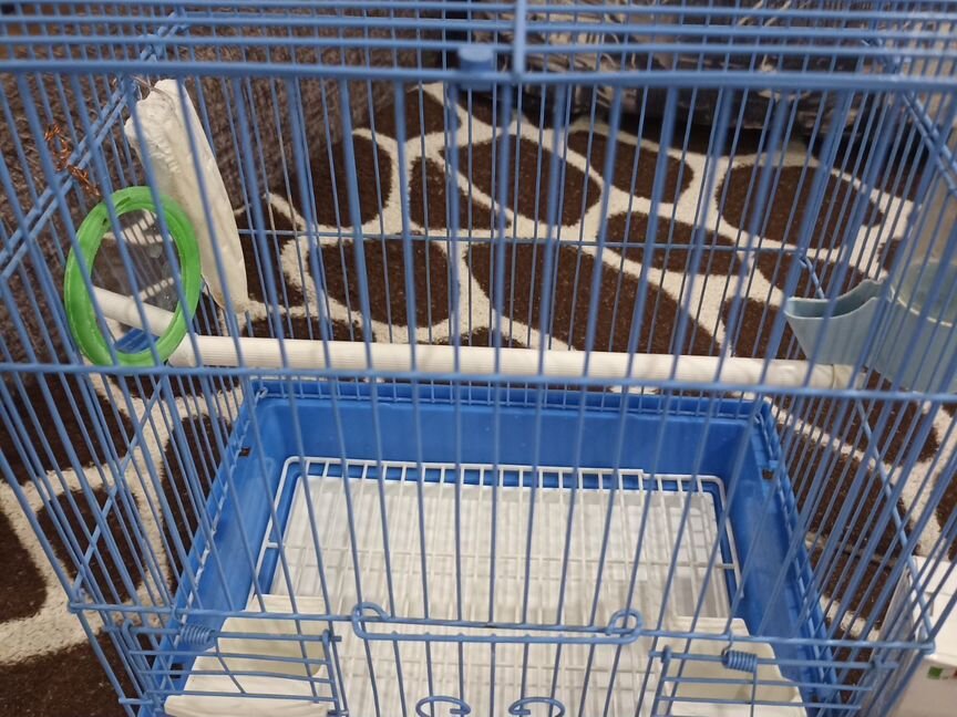 Клетка для попугая