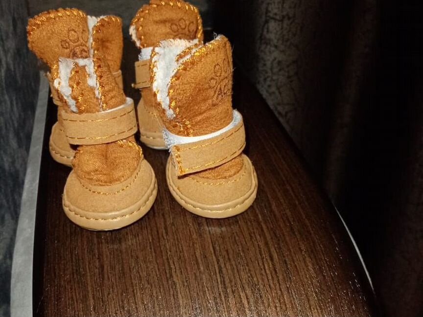 Сапожки для собак