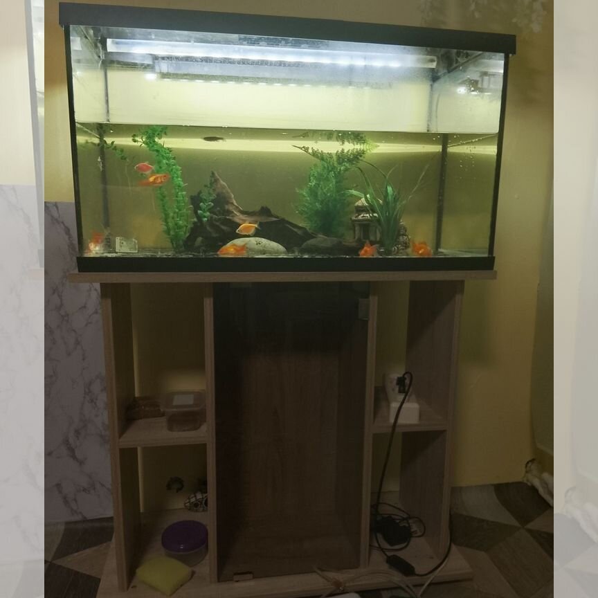 Продам аквариум вместе с рыбками