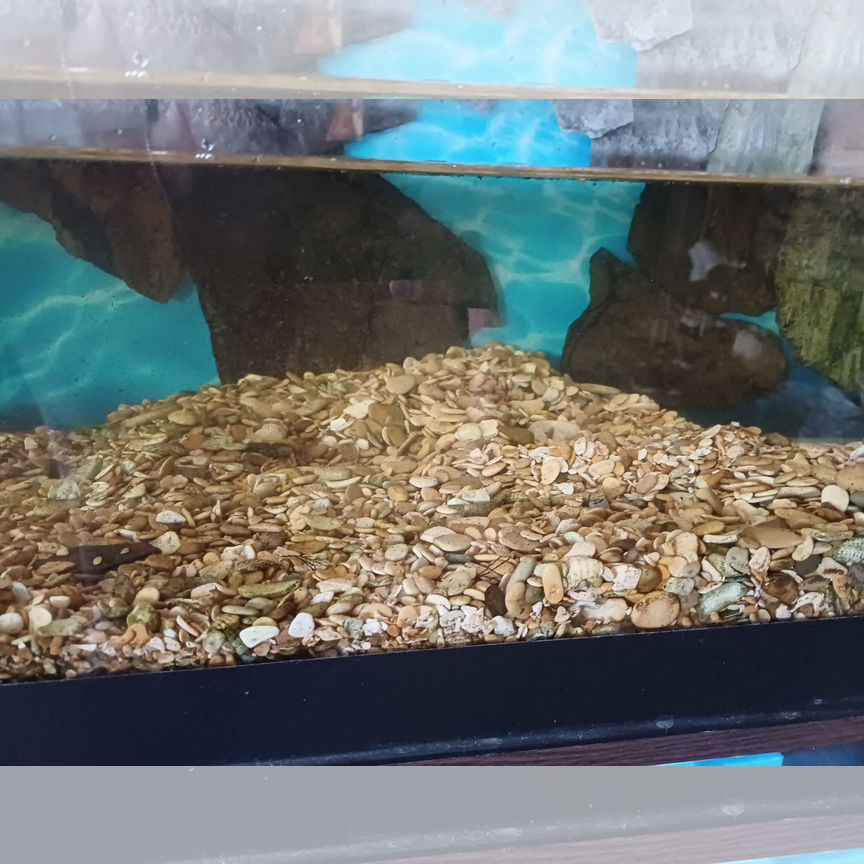 Грунт в аквариум