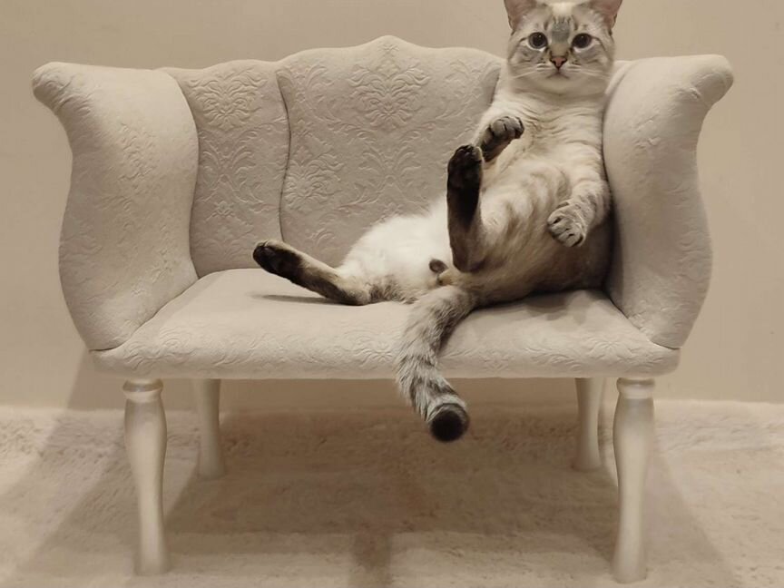 Кушетка/лежанка для животных