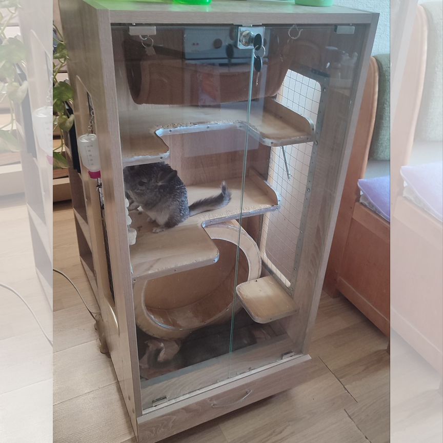 Витрина для крупных грызунов