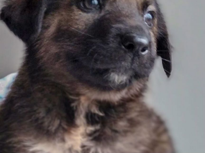 Малышка ждёт своего человека