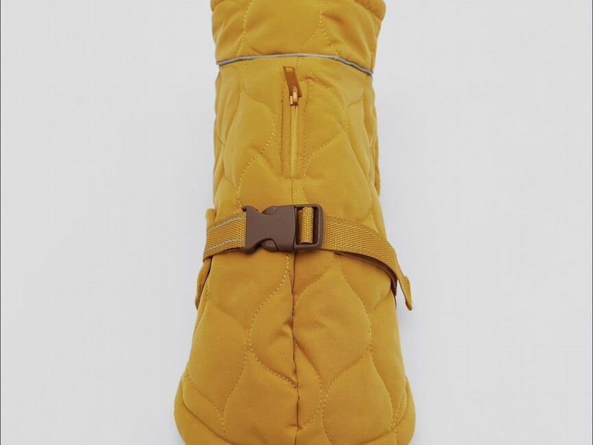 Помпона для собаки zara