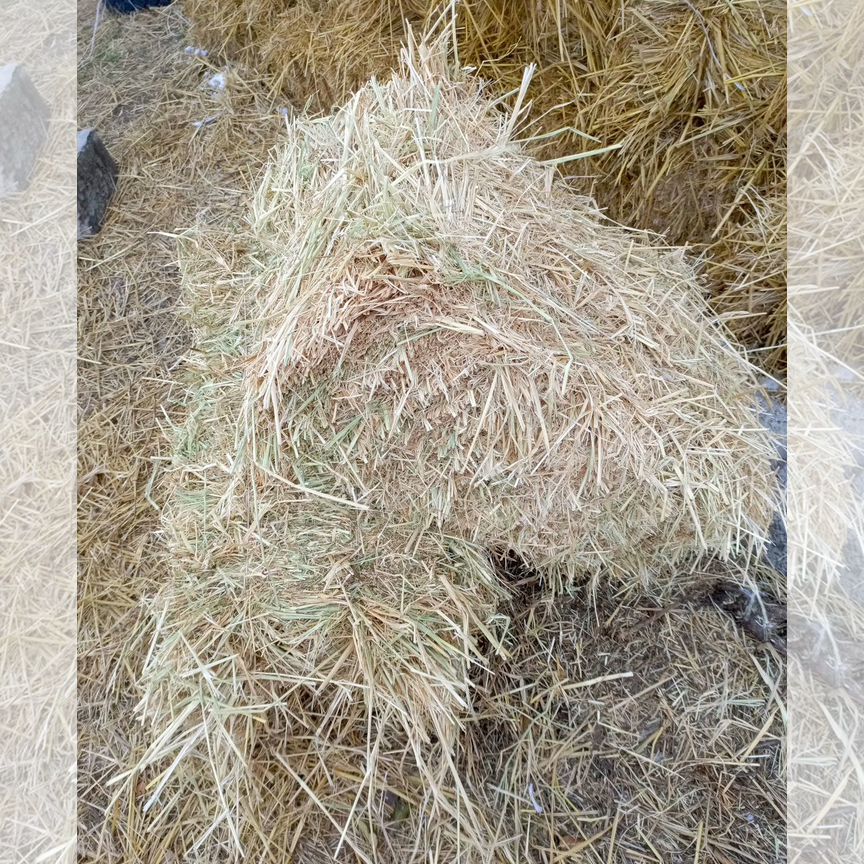 Рисовая солома