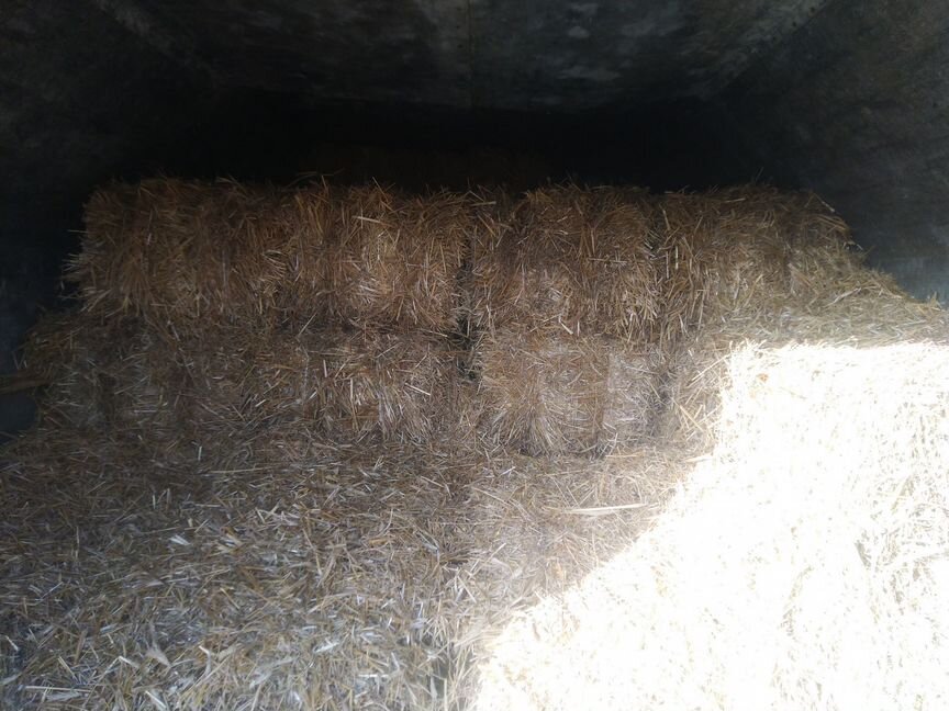 Солома пшеничная в тюках